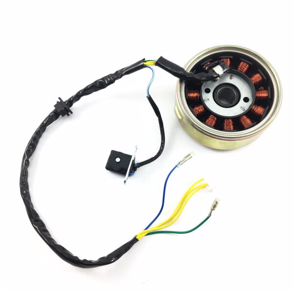 Lichtmaschine komplett ZN125 125cc - 12 Spulen