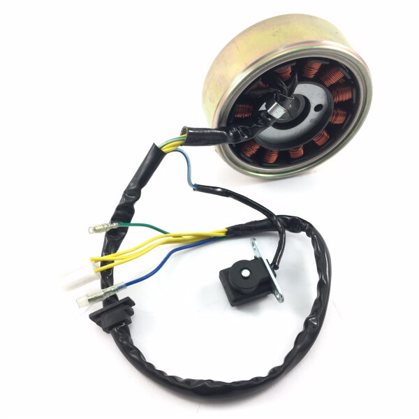 Lichtmaschine komplett ZN125 125cc - 12 Spulen