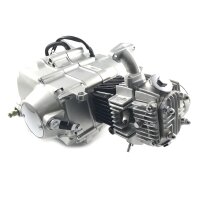 Motor 139FMA, 1Zylinder 4-Takt, 48ccm